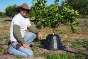 62 Shark Tank Eco-Friendly Products Backed by Sharks