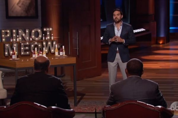 Apollo Peak Pinot Meow Shark Tank Update - Apollo Peak Net Worth 2024