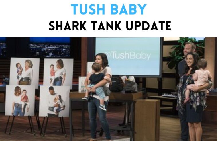 Bot It Shark Tank Update - Bot It Net Worth 2024