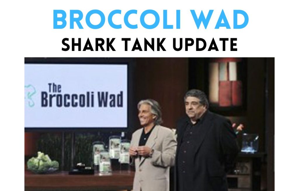 Tree-T-Pee Net Worth Shark Tank Update 2025