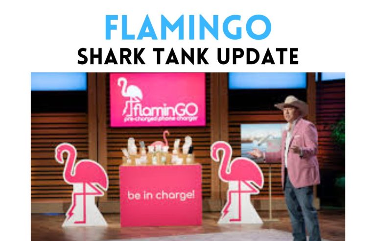 FlaminGo Net Worth Shark Tank Update 2025