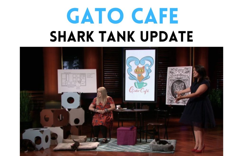 Gato Cafe Net Worth Shark Tank Update 2025